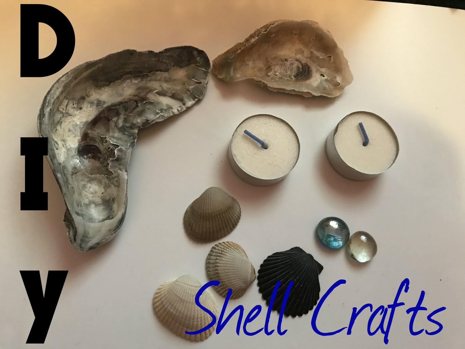 DIY Shell Crafts!