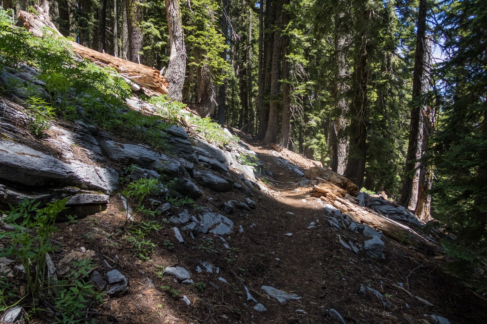 Eric's Hikes: Marble Mountains: Sky High Lakes, Marble Rim, Pacific ...