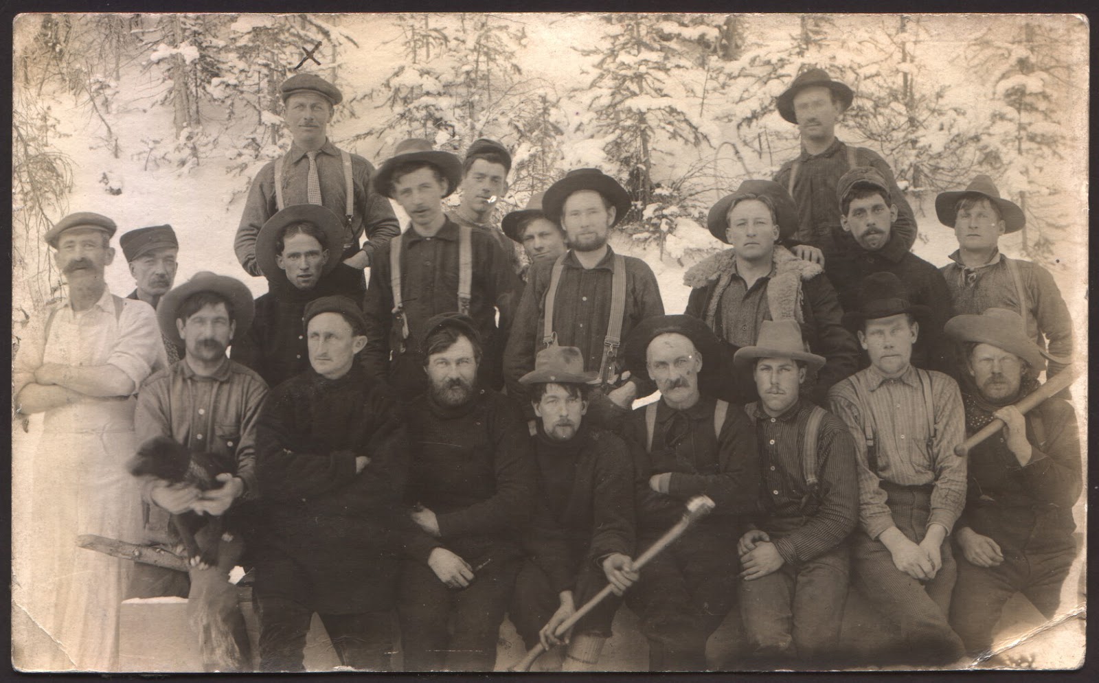 Union-Made: 1909 West River, Nova Scotia Logging Team Real Photo Postcard