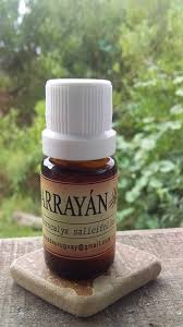 Aceites esenciales de plantas nativas de Uruguay: Aceite esencial Arrayán