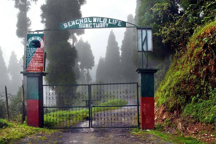 Dooars Ecoviillege: Chatakpur a Dream Destination for Snow Capped ...