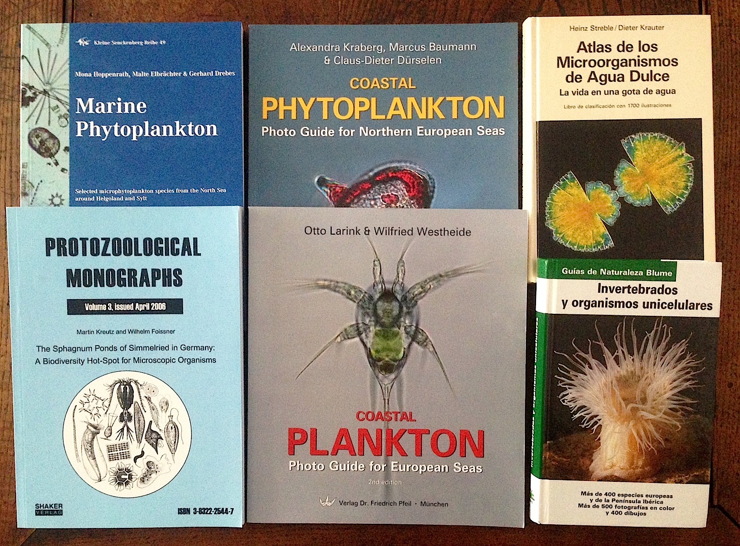 Rafael Microfauna Marina: septiembre 2014