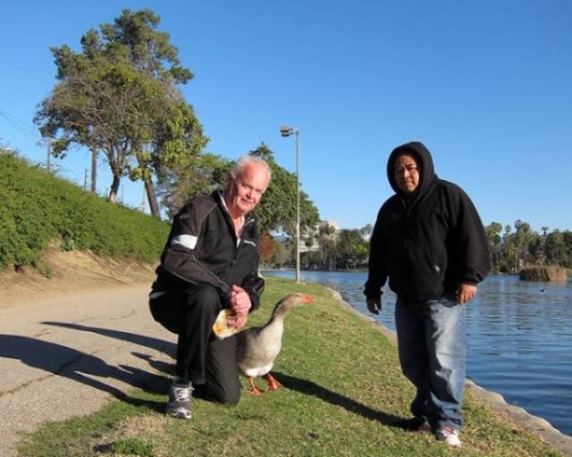 Goose that began man best friend