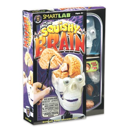 SmartLab Craft Kit Review and Giveaway!