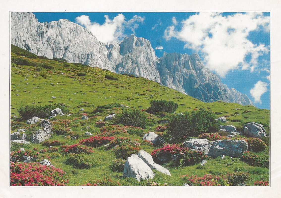 dewereldiskleinenmooi: Alpenweide, kaart van Lorenz uit Oostenrijk