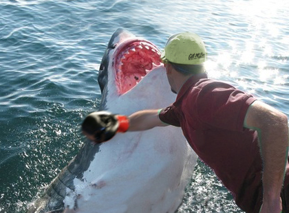 The Adventures of Gill McFinn: Off the Grid and Back Again