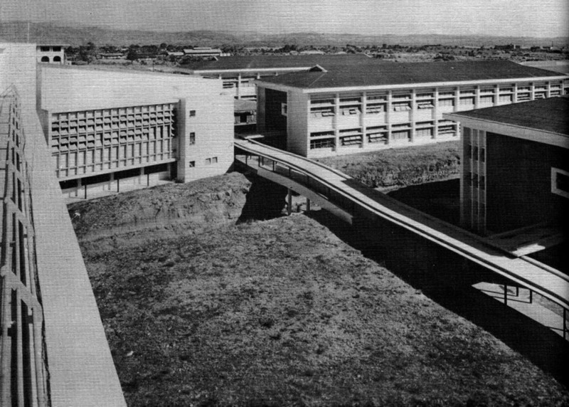 Bottled ※ Brain: The Palma Hall that was