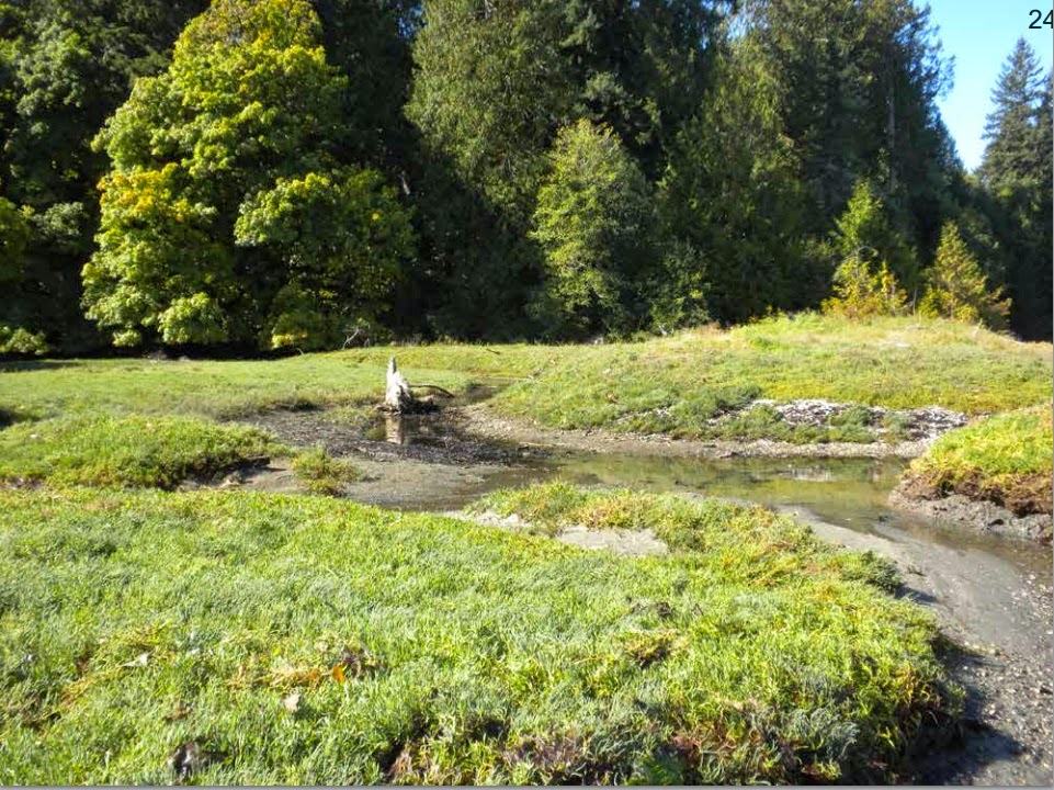 Protect Our Shoreline News: January 28: Fudge Point State Park Public ...