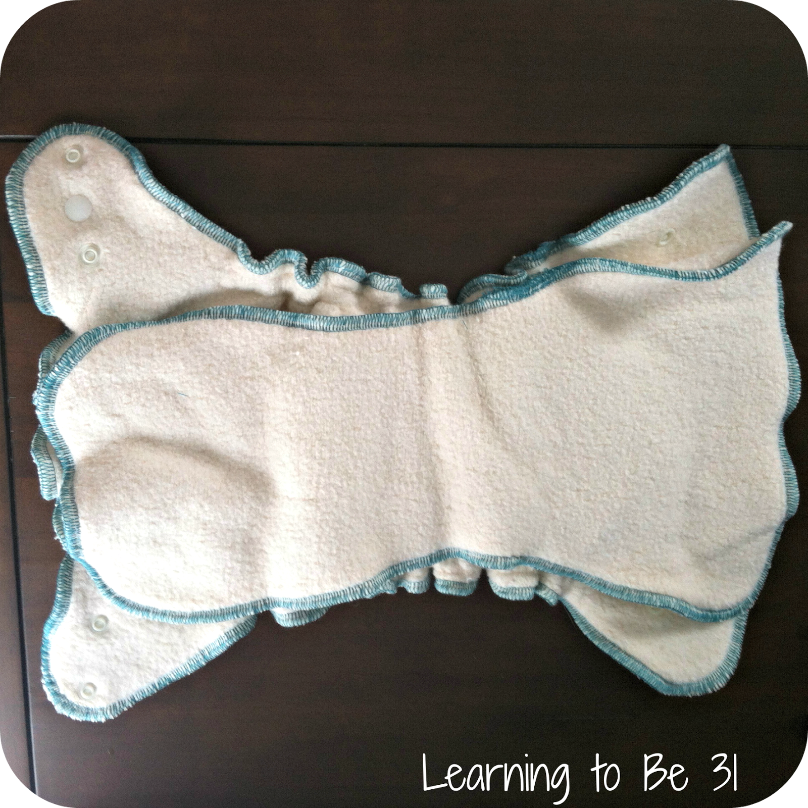Learning to Be 31: Wool Diapers: Not as Scary or Difficult as You Might ...