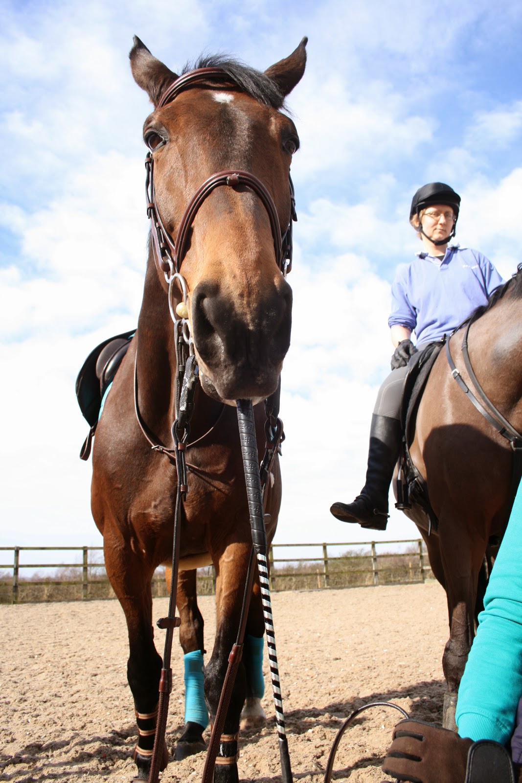 Roosa's Horsey Life: Playing photographer