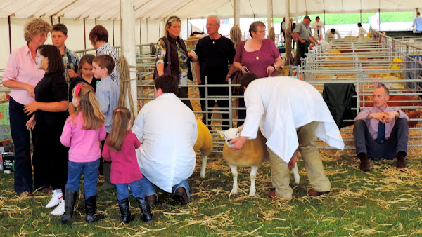 The Glebe Blog: The Stranraer Show 2013