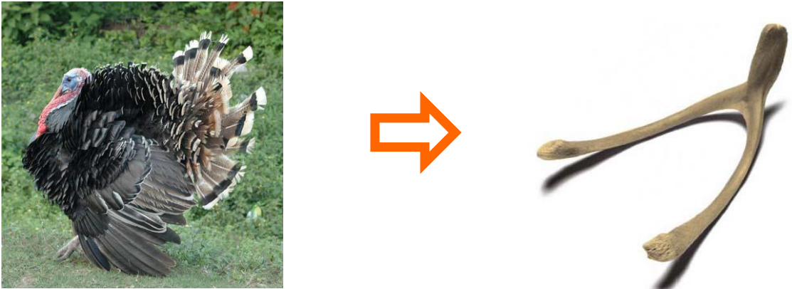 Breaking the Wishbone for Luck