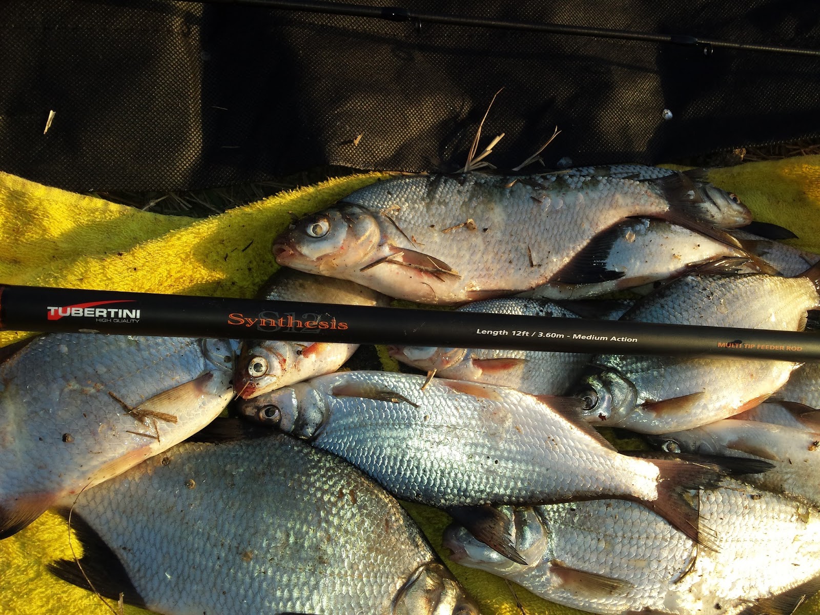 Život na vodi...: Pecanje deverike iz Batinog ugla