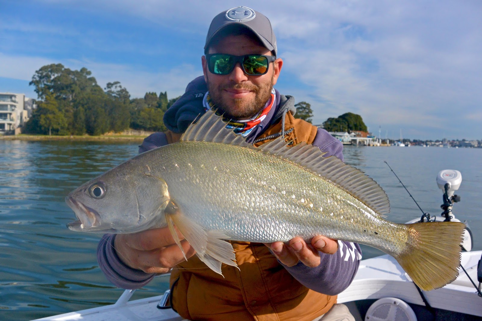 The Fish Cure: THE MULLOWAY CIRCLE