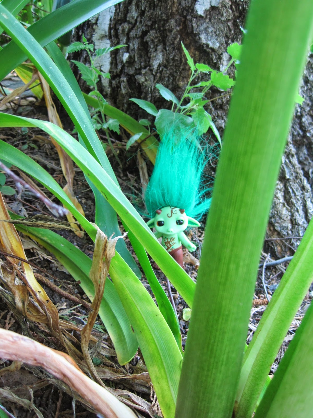 Never Grow Up: A Mom's Guide to Dolls and More: Zelf Photo Shoot ...
