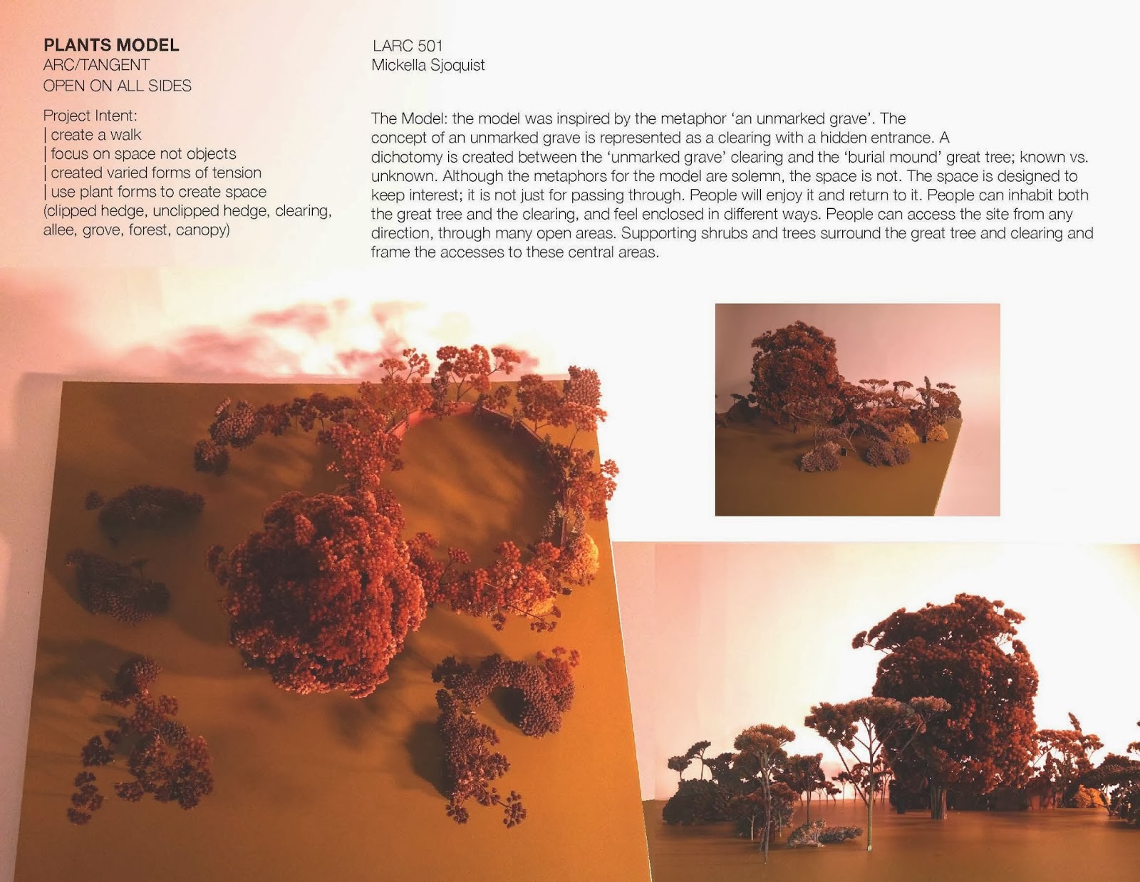 LARC 501 Design Methods and Processes: Plants Model Projects