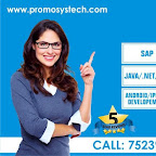 Why SAP training is important