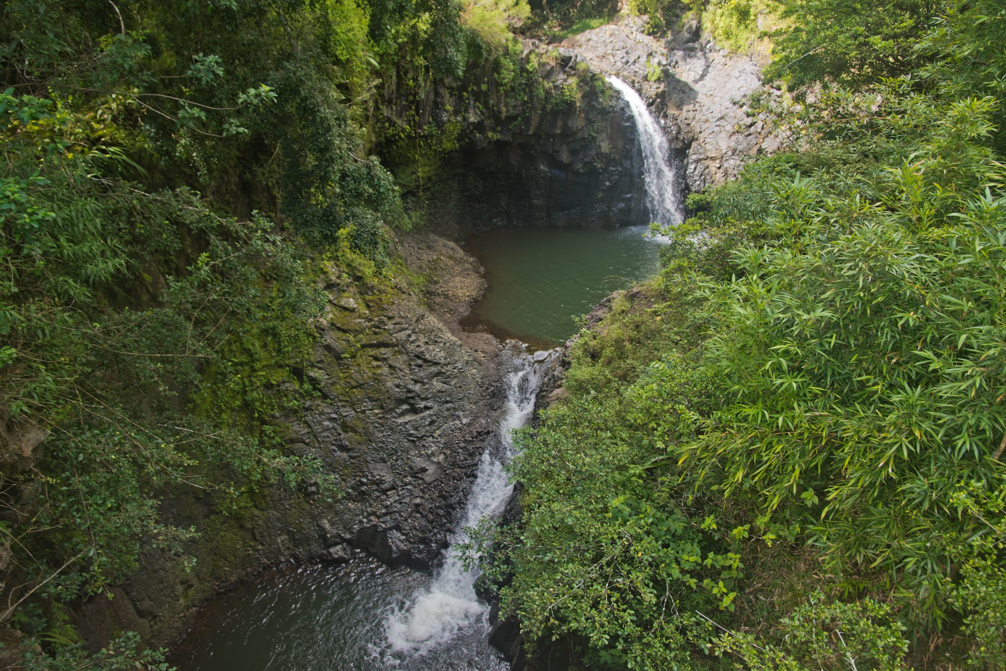 Hiking Shenandoah: Pipiwai Trail
