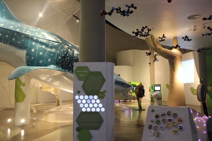 Exploring The Mind Museum