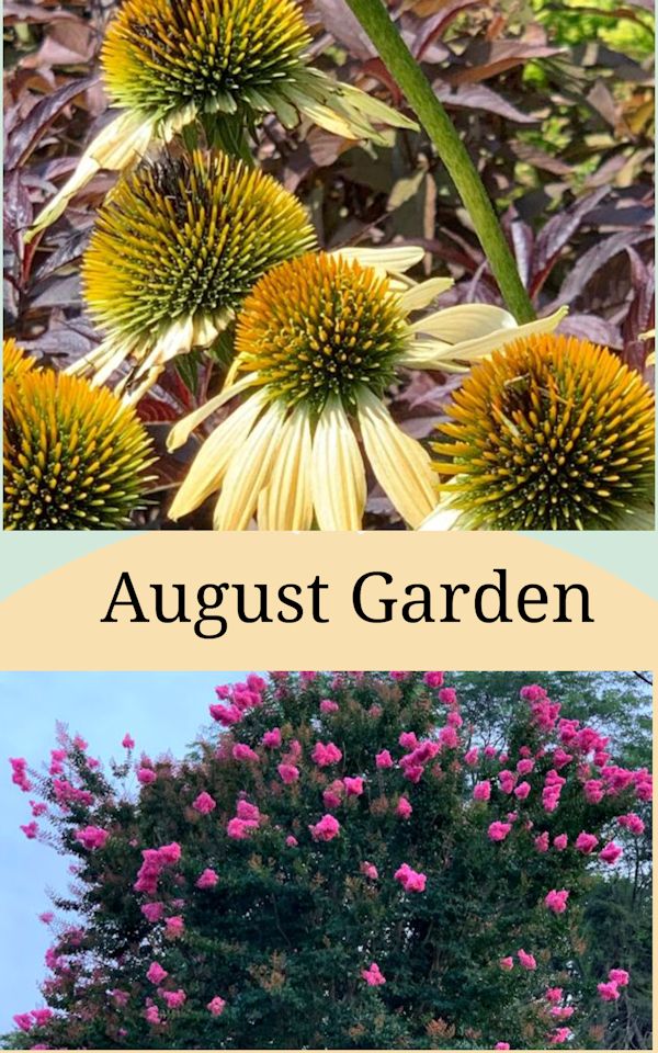 A GUIDE TO NORTHEASTERN GARDENING: Garden Bloggers' Bloom Day & Foliage ...