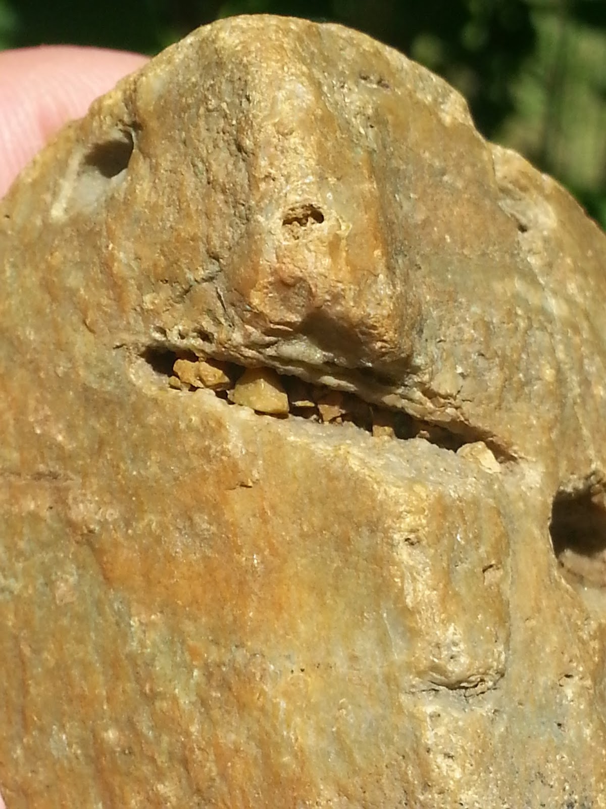 Archaeology of Portable Rock Art: A zoomorphic figure with pebbles ...