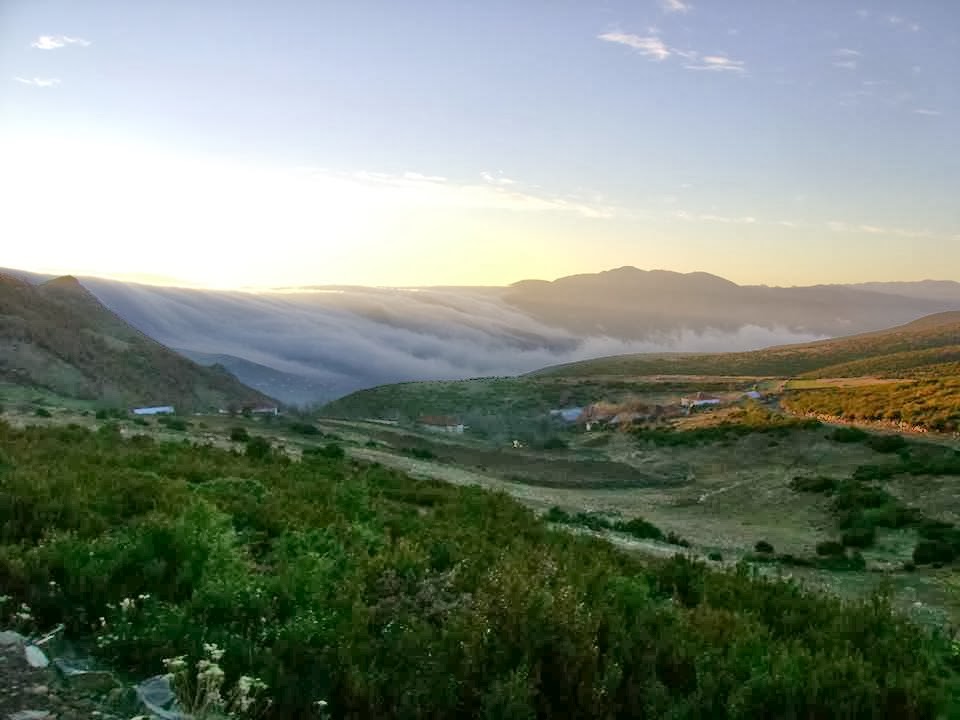 RRAJCA JONE: pejsazhe