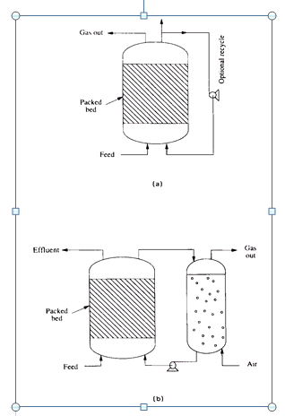 Chemical Engineering Notes - Bio-Reactors