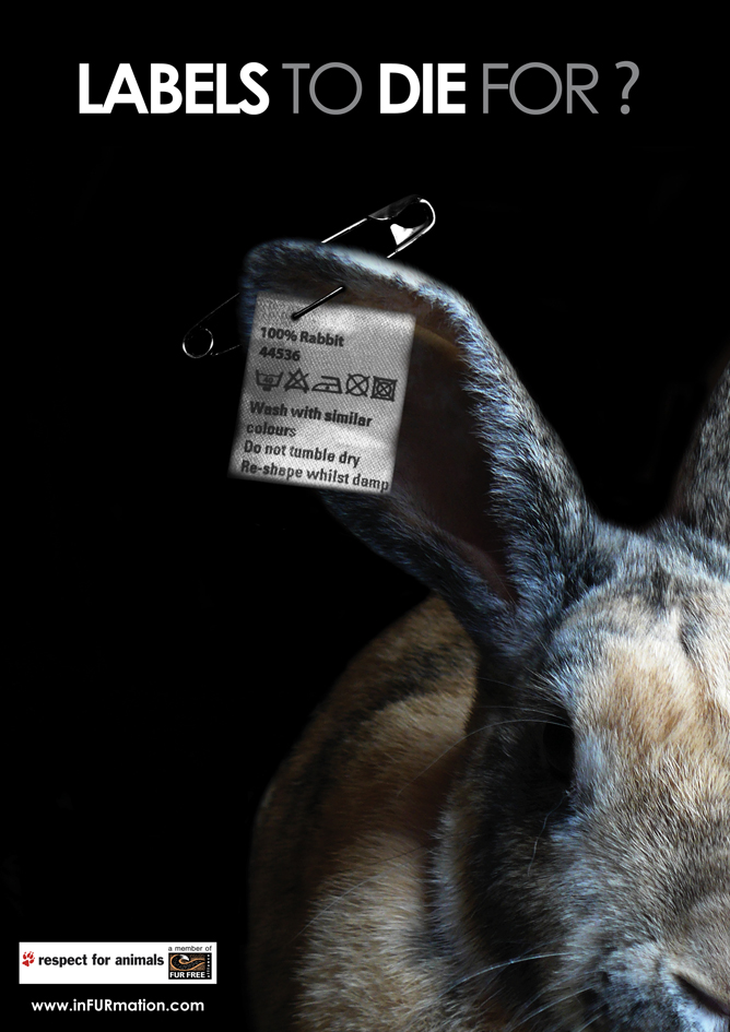 SADIE & GEN: November 2011