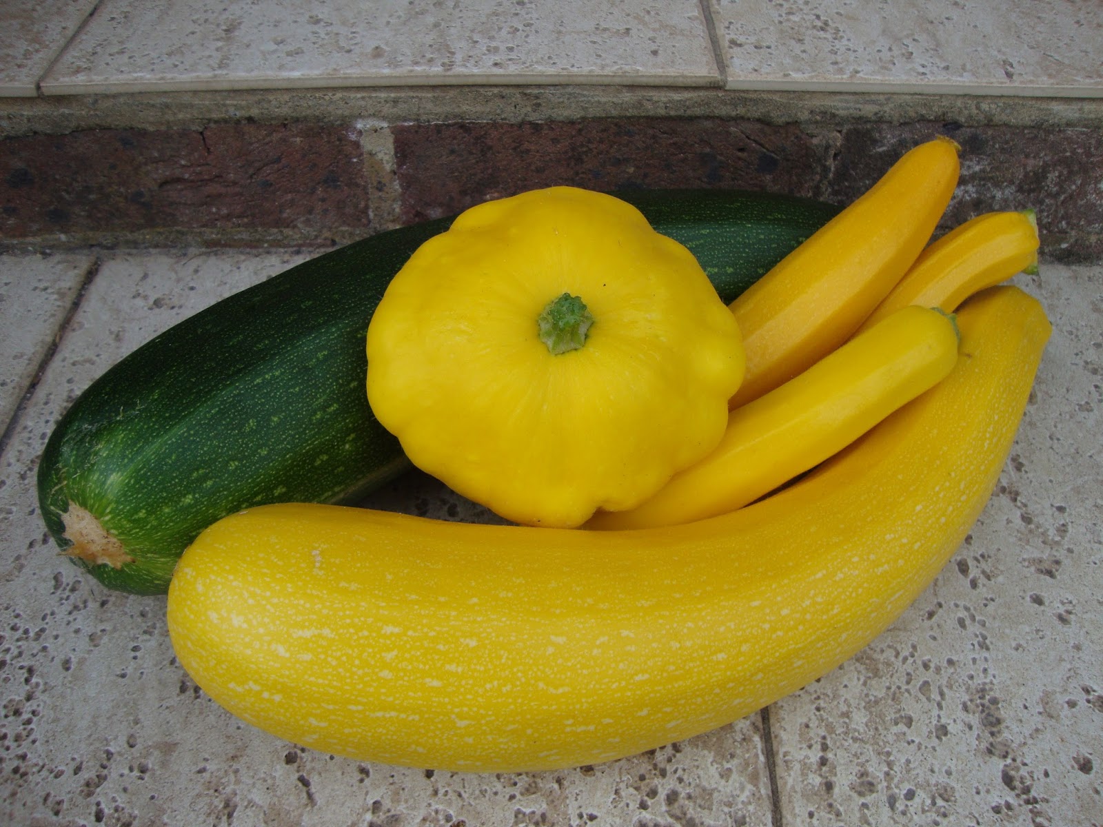 Chef Mel's Kitchen: Cheap Food Factfile: Courgettes
