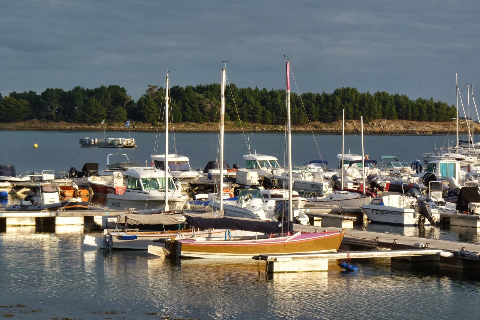 Les aventures de Zoé: Port d'Arradon