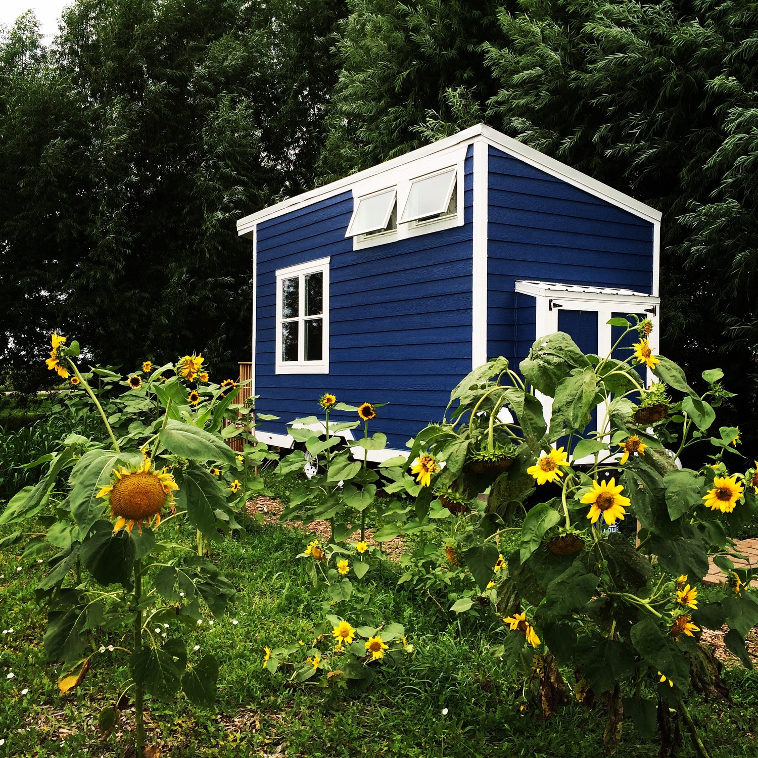 The Lil' Blue Tiny House (160 Sq Ft) [ TINY HOUSE TOWN ]