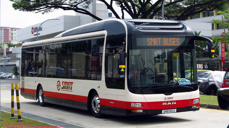 (buses[IN]gapore!): SMRT Buses : MAN NG363F A24/Gemilang (licensed Lion ...