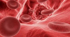 SISTEMA HEMATOLÓGICO - EnfermageandO