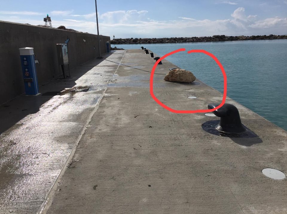 New Port Karlovassi: Μικροζημιες προκαλεσε ο "Φοιβος" στο αλιευτικο ...