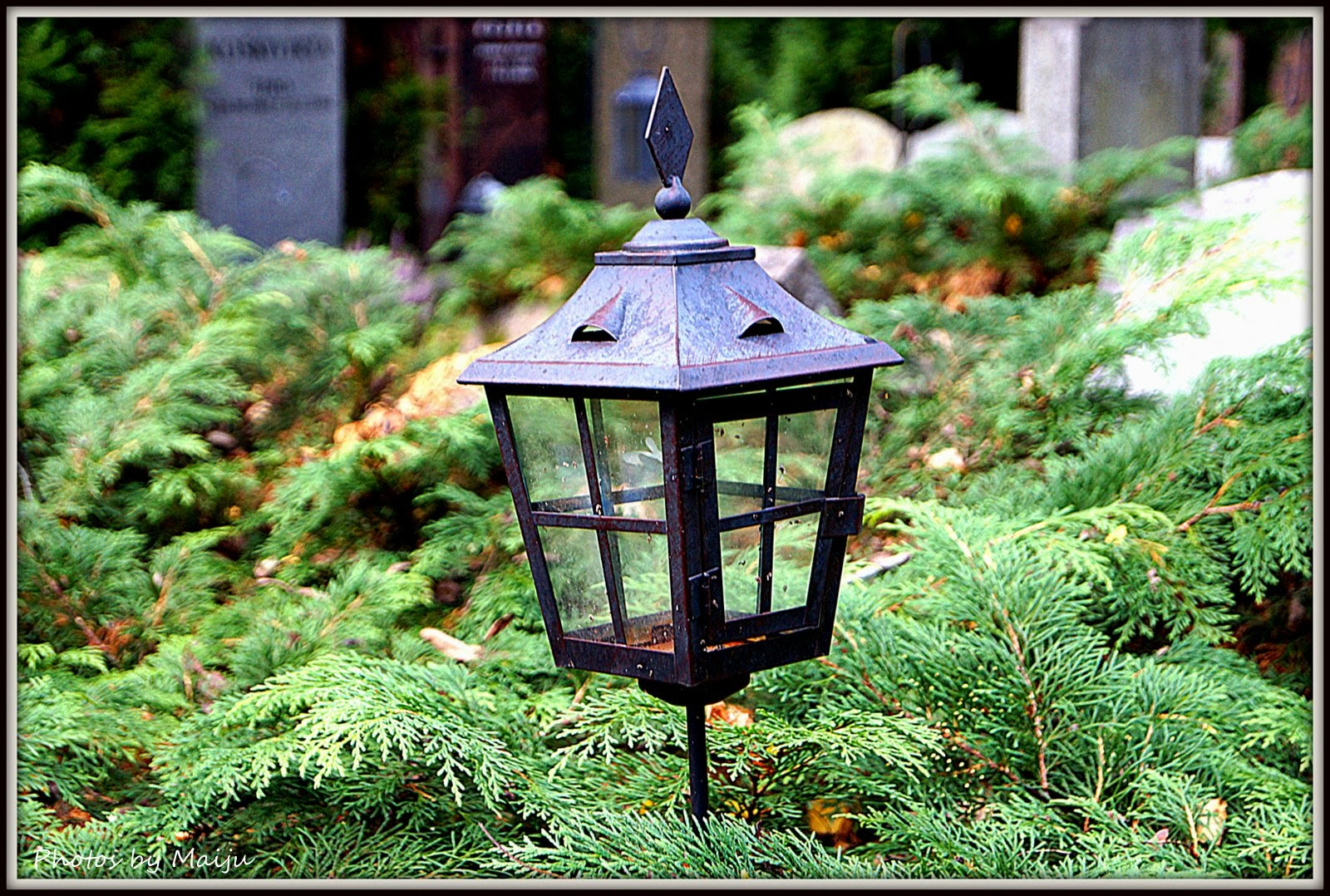 Photos by Maiju: Syyskukat haudalla