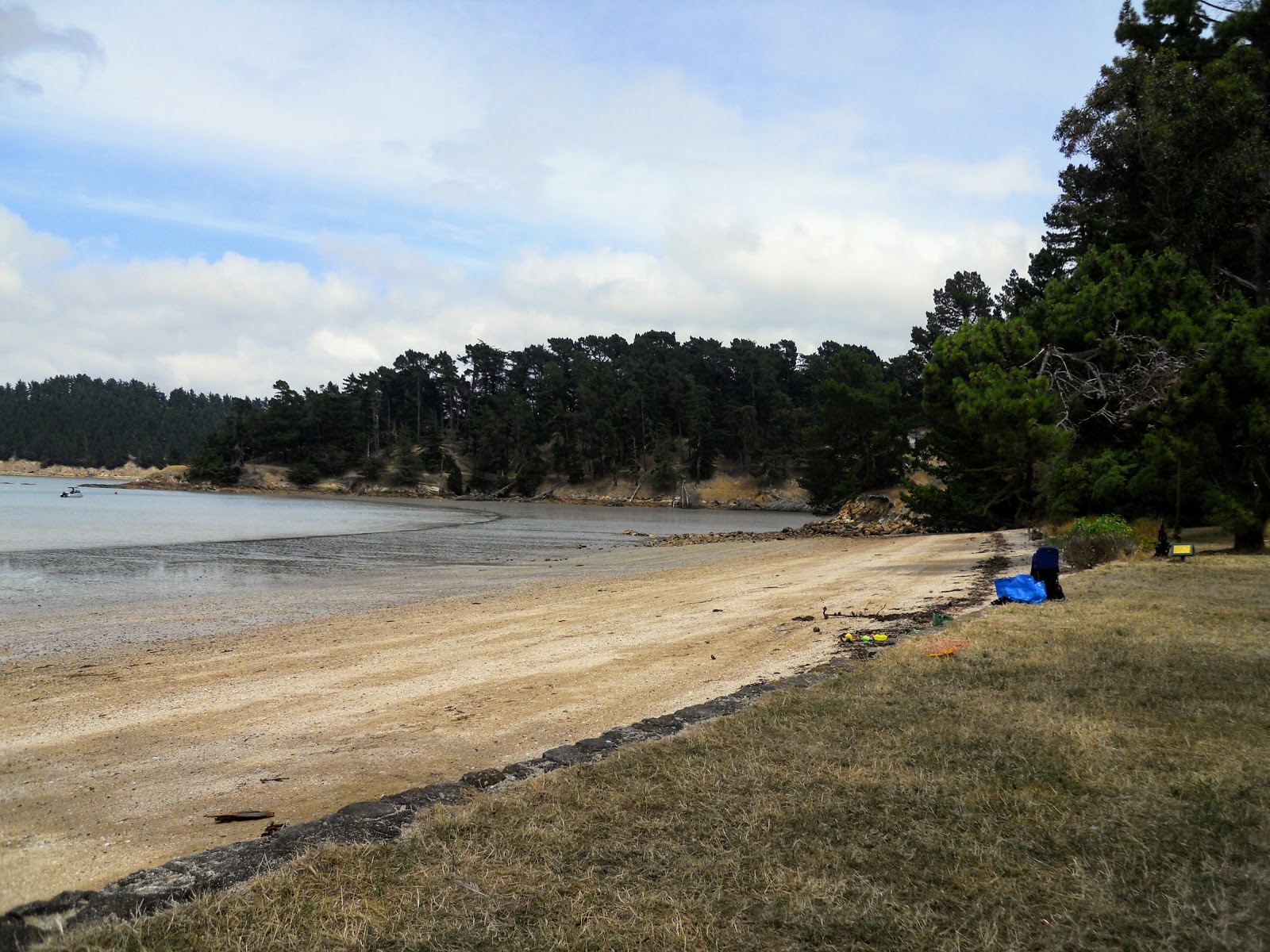Tramping in the New Zealand backcountry: NZ Bush Adventures: Daytrip to ...