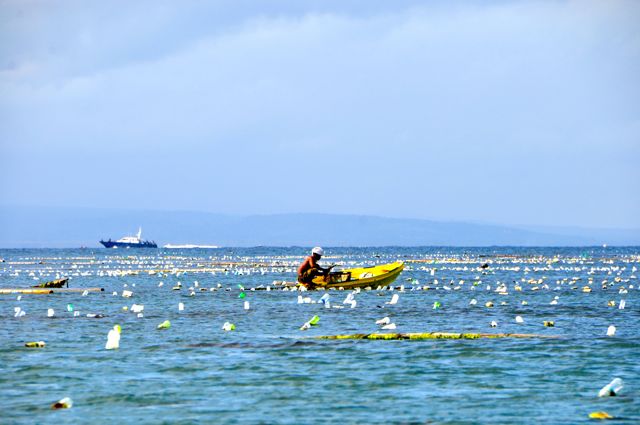 In Pinay's "Ciudad": LAYAG-LAYAG YELLOW BOAT VILLAGE: SEAWEEDS @ ZC ...
