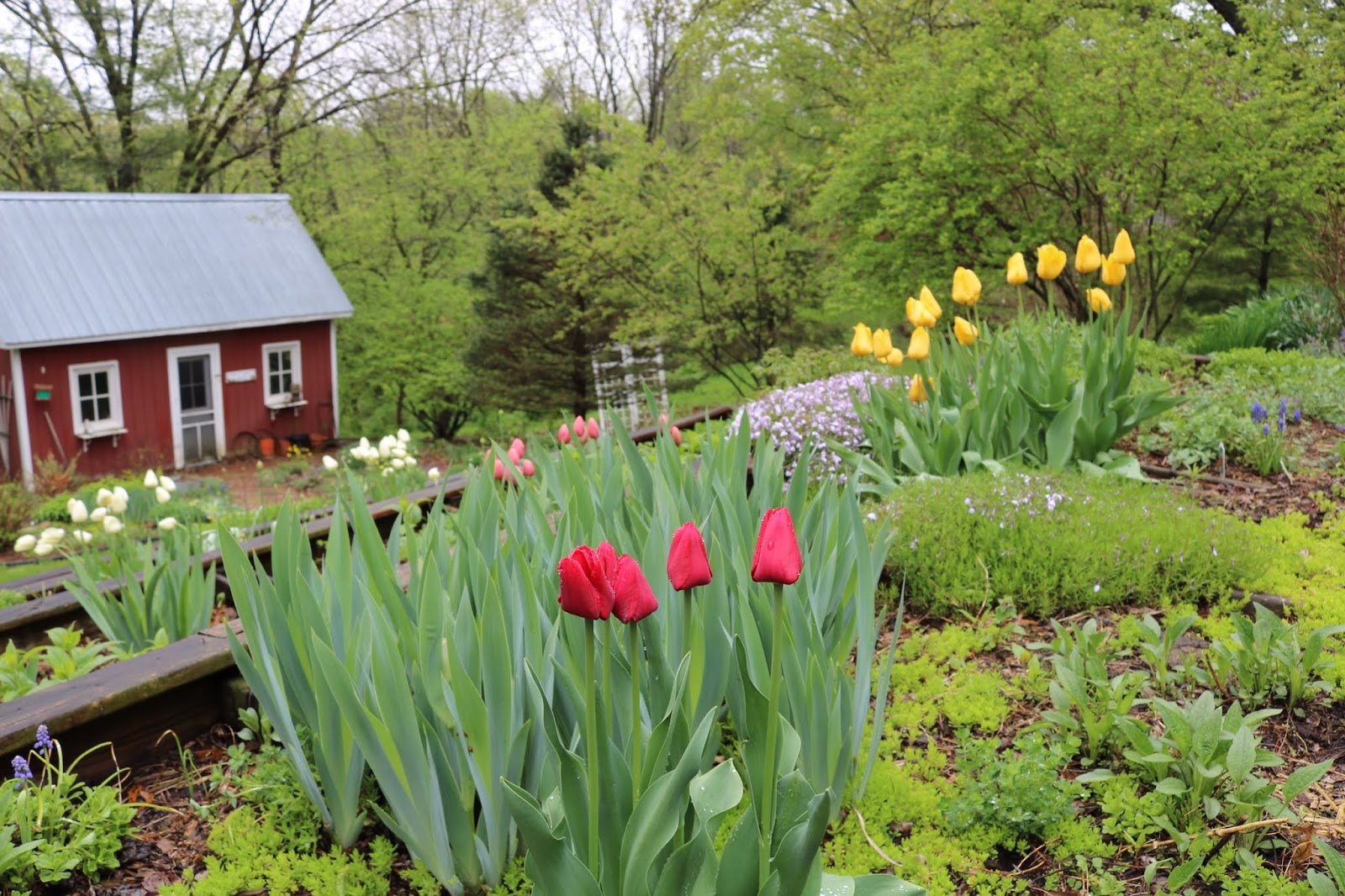 Amy's Creative Pursuits: Spring Garden 2019