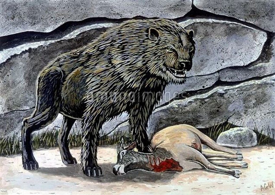 ShukerNature: HOW THE NANDI BEAR WAS CONCLUSIVELY IDENTIFIED AND ...