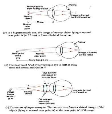 The Human Eye and The Colourful World - Lakhmir Singh Manjit Kaur ...