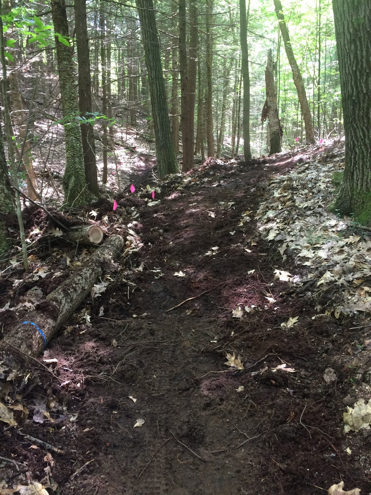 Trail Building: A primer for building novice friendly sustainable ...