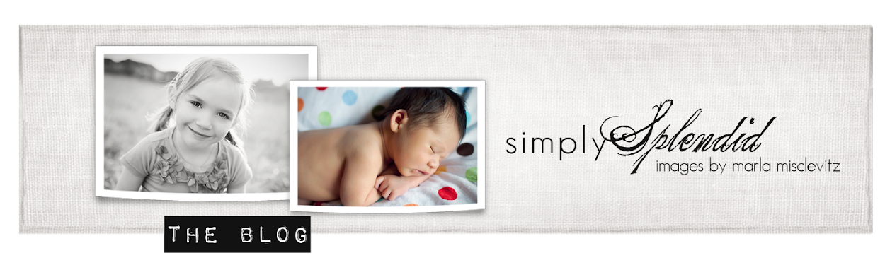 simply Splendid :: images by marla misclevitz