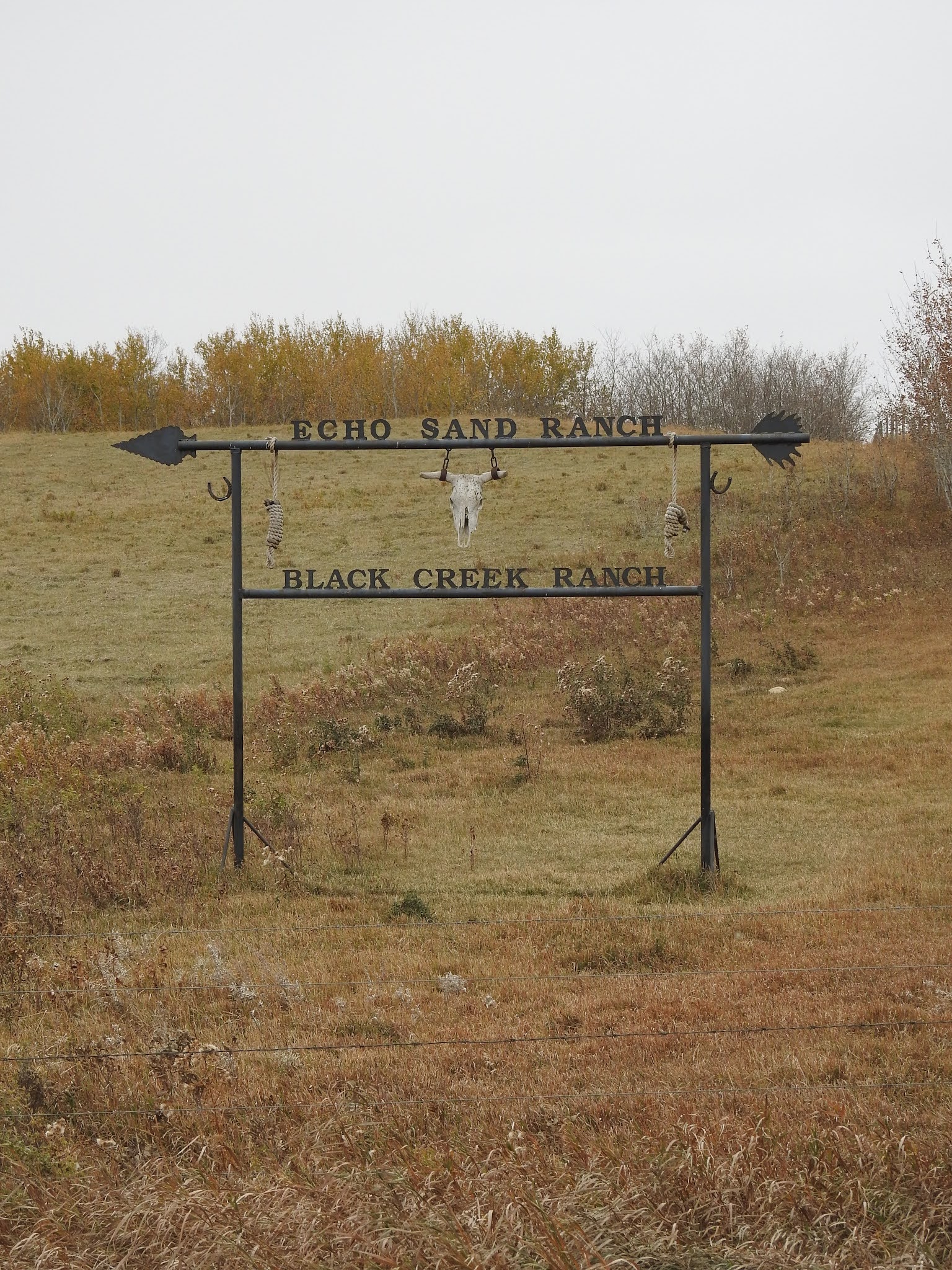 The view from here: Ranch signs
