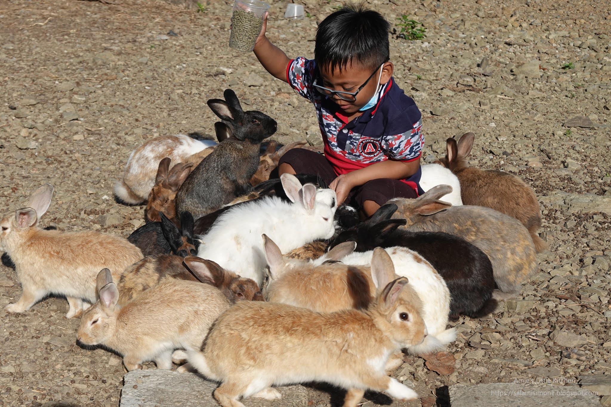 Taman Banjaran Crocker - Rabbit Farm - Keningau View - Amie's Little ...