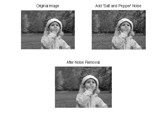 Truth Behind The Truth Matlab Code For Add And Remove Salt And Pepper Noise