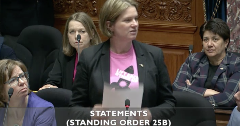 D'Arcy McGee: MLA Jennifer Rice speaks to Racism and Indigenous issues ...