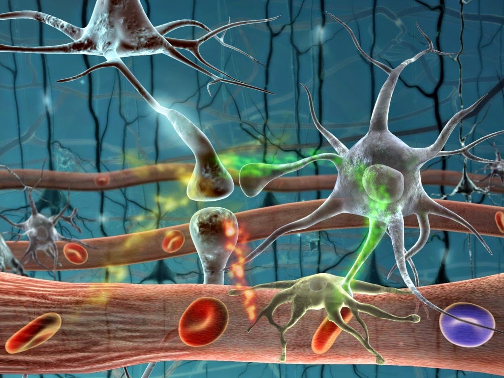 Biofísica, História da Biofísica - Enciclopédia Global™