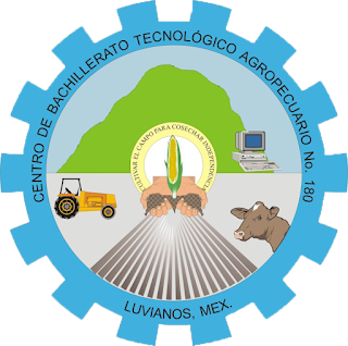MI PERSONA : EL CBTa 180