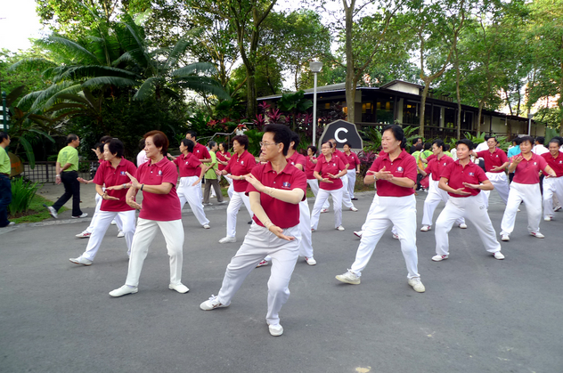 Tai chi in the parks | Be Singapore