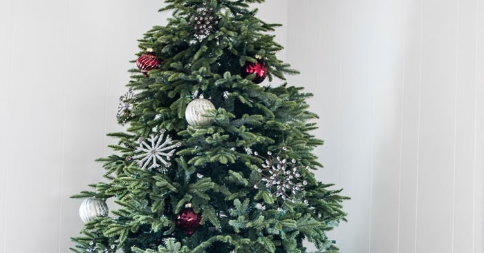 Faux vs. Real Trees | The Great Christmas Debate | anderson + grant